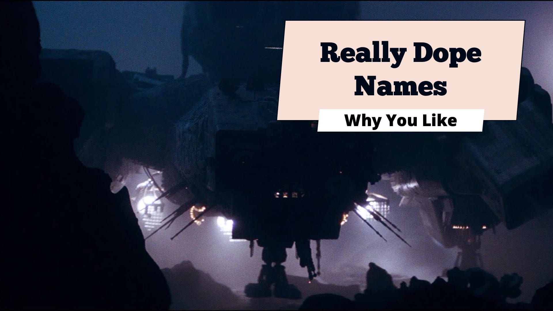 Why You Like … Really Dope Names – Parrydox